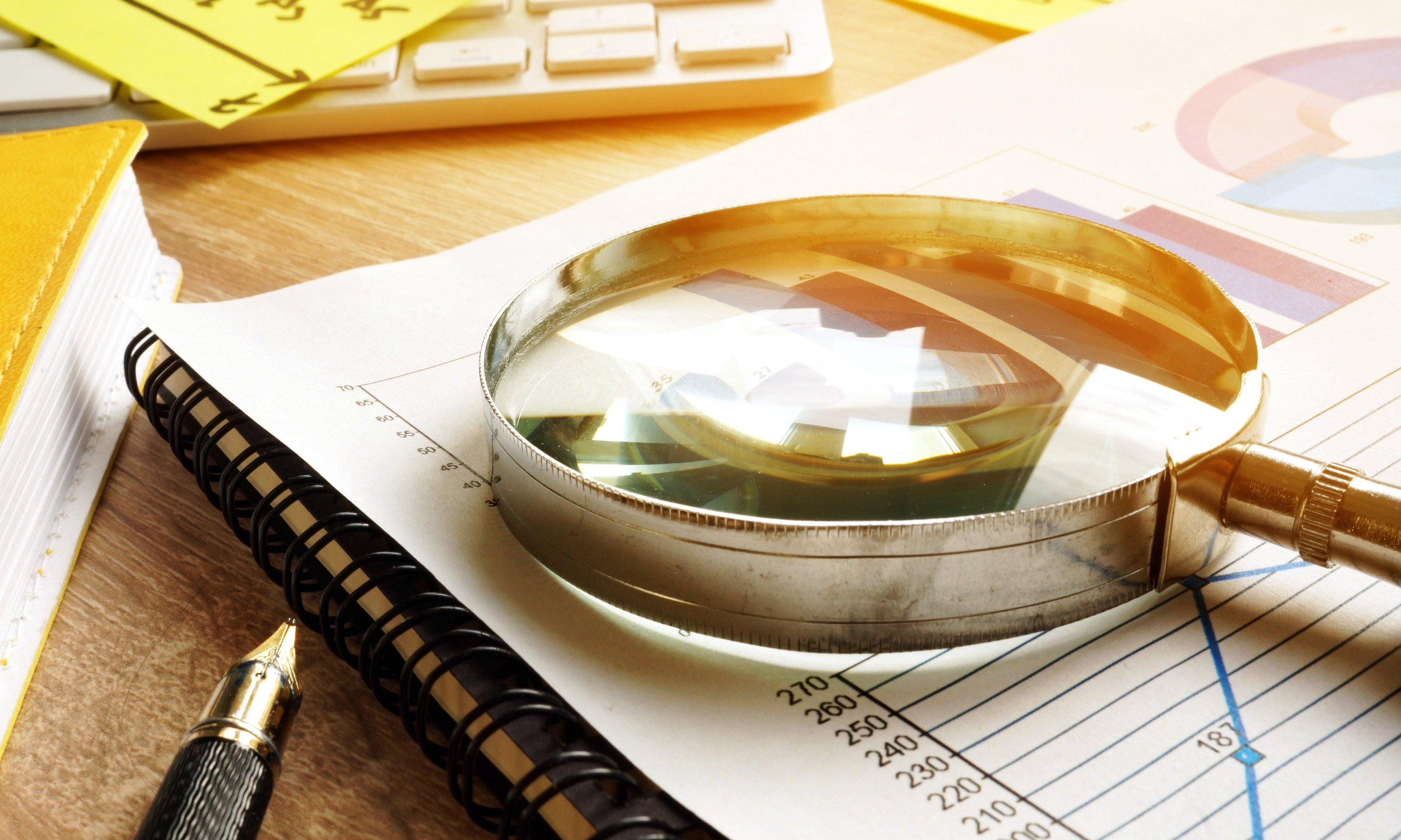 Internal Controls: Why They’re Important in Your Business